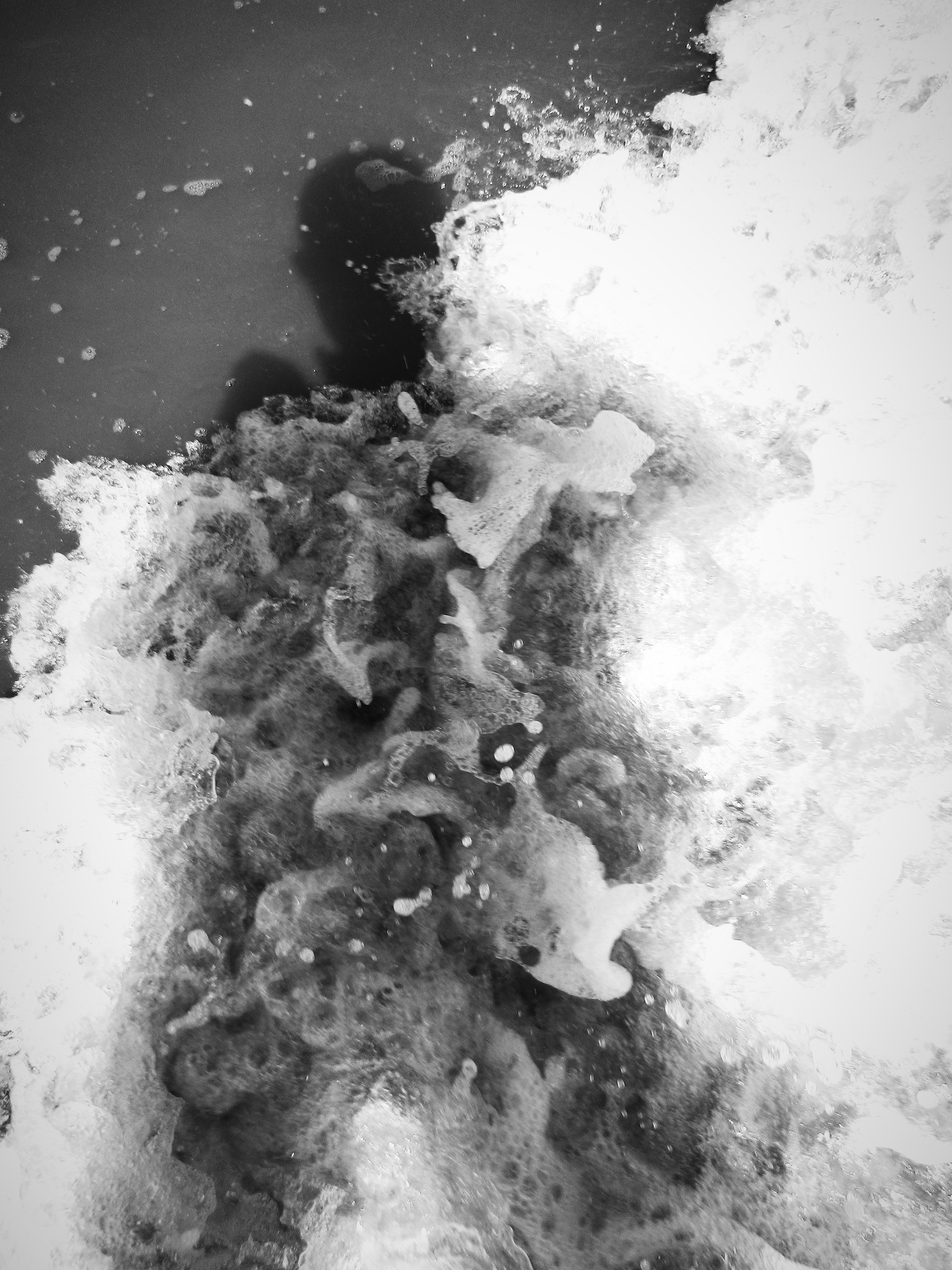 Q&A - Jeremy Gluck - The Flux Review